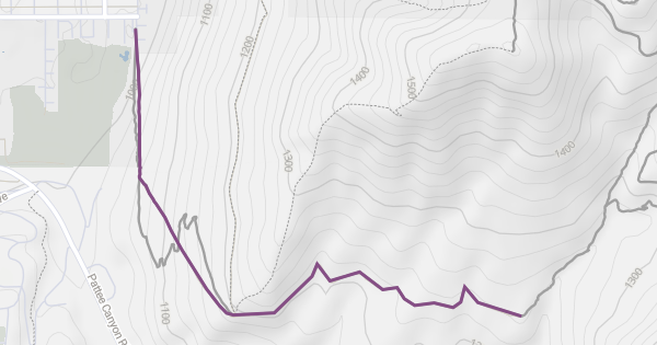 Mt Sentinel Road Climb Mountain Biking Trail - Missoula