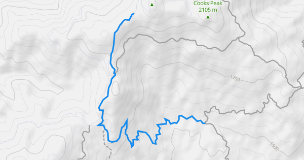 Just Outstanding Mountain Biking Trail - Wofford Heights