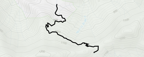 Lost Cove Trail Hiking Trail - Erwin, TN | Trailforks