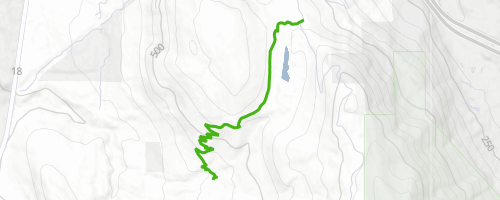 Raging Tiger Mountain Biking Trail - Snoqualmie, WA