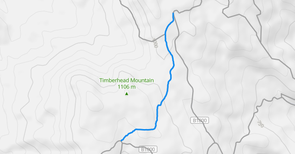 Buck Creek - Timberhead Upper Mountain Biking Trail - White Salmon