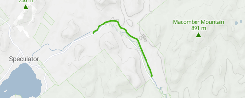 Old RT 8 Mountain Biking Trail - Speculator, New York