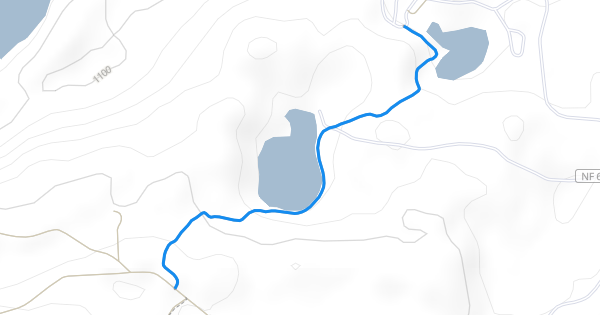 Two Lakes Trail Mountain Biking Trail - Camp Sherman