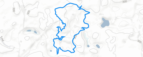 VASA Unmarked Central Loop Mountain Biking Trail - Traverse City