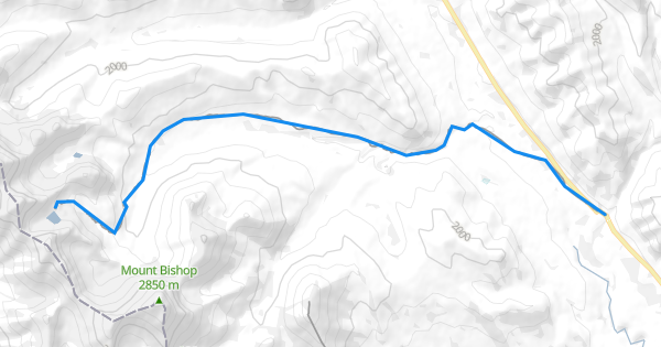 Loomis Lake Multi Trail - Diamond Valley, AB