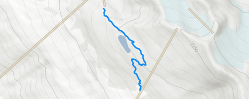 Marmot Trail Hiking Trail - Whistler, British Columbia