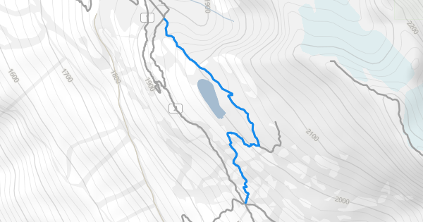 Marmot Trail Hiking Trail - Whistler, British Columbia