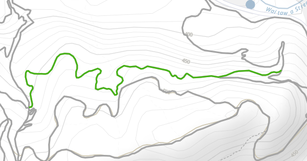 Forest Loop, Tūhua (Part 3) Mountain Biking Trail - Rotorua