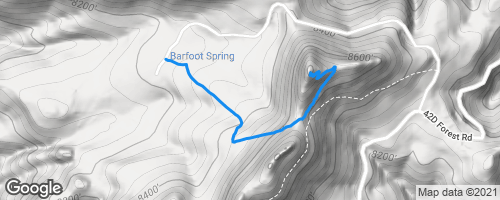 Barfoot Lookout Trail Hiking Trail - Portal, Arizona