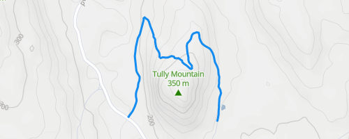 Tully Trail (Mountain Loop) Multi Trail - Royalston