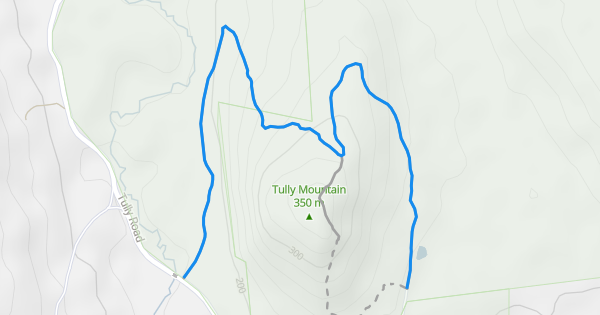 Tully Trail (Mountain Loop) Multi Trail - Royalston