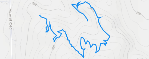 Blue Trail Mountain Biking Trail - Petoskey, Michigan