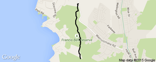 Mt Lowry Mountain Biking Trail - Lower Hutt | Trailforks