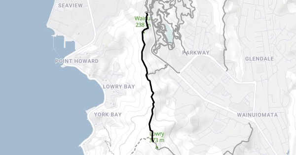 Mt Lowry Mountain Biking Trail - Lower Hutt | Trailforks