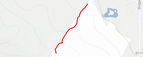 The Red Squirrel Mountain Biking Trail - Tarland