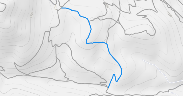 Moto Line Mountain Biking Trail - Missoula, Montana