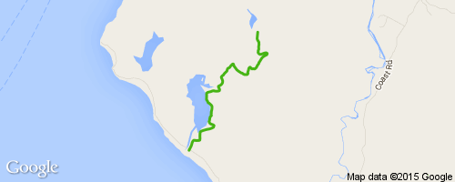 Kohangatera Mountain Biking Trail - Pencarrow Head