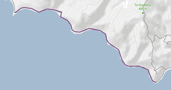 Karori Rock Mountain Biking Trail - Wellington