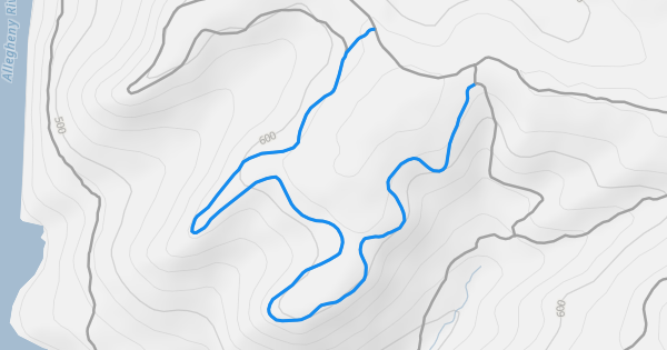 Tracy Ridge Loop B Hiking Trail - Bradford, Pennsylvania