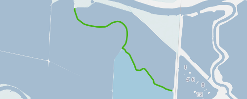 Upper Alviso Slough Trail Multi Trail - Fremont, CA