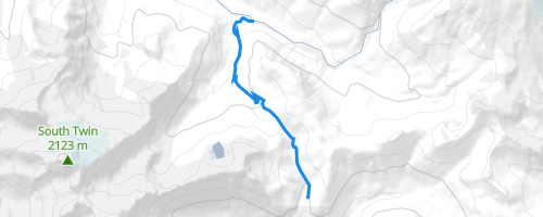 Elbow Lake Trail Hiking Trail - Glacier, Washington