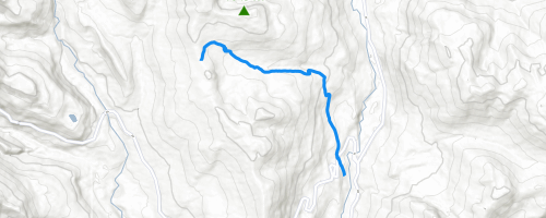 Cowlitz Divide Trail Hiking Trail - Ashford, Washington