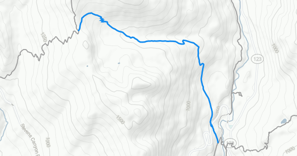 Cowlitz Divide Trail Hiking Trail - Ashford, Washington