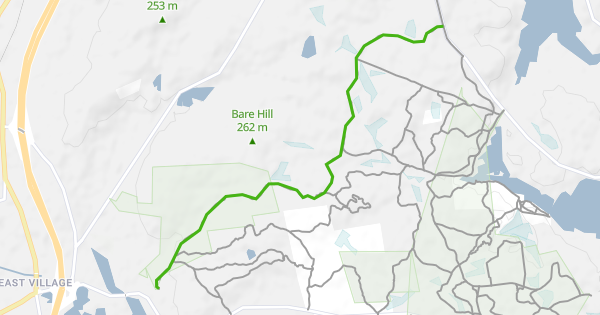 Olde Connecticut Path Multi Trail - Douglas, MA