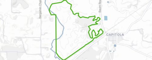 Outer Loop Mountain Biking Trail - Tallahassee, Florida