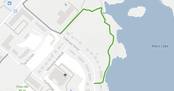 Albro Lake path Multi Trail - Dartmouth, NS | Trailforks