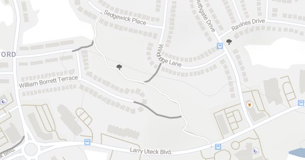 Larry Uteck Park path Multi Trail - Bedford, NS