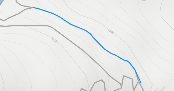 Lej Alv - Corviglia Singletrail Section 2 Multi Trail - St. Moritz