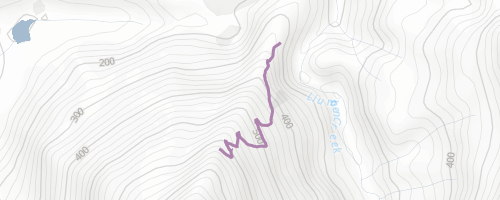 Church/International FSR Connector Mountain Biking Trail - Chilliwack