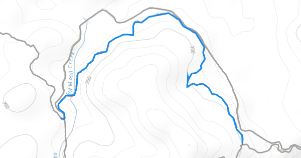 Blue Tier Trail- top to bottom Mountain Biking Trail