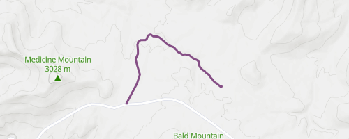 Medicine Wheel Ranger Station Road Multi Trail - Lovell