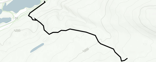 Mt Fitzwilliam (Highway to 1st Camp) Hiking Trail - Valemount