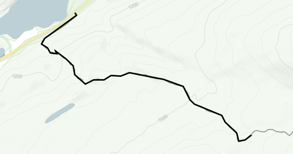 Mt Fitzwilliam (Highway to 1st Camp) Hiking Trail - Valemount