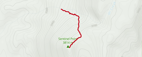 Sentinel Point Route Hiking Trail - Woodland Park, CO