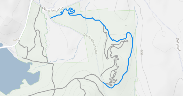 Davis Mine Loop Mountain Biking Trail - Rowe, MA