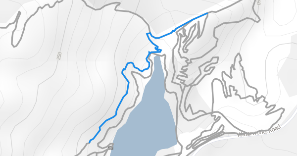 Miro Mountain Biking Trail - Hamilton | Trailforks