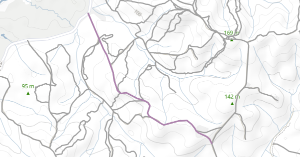 Strip Road Multi Trail - Riverhead | Trailforks