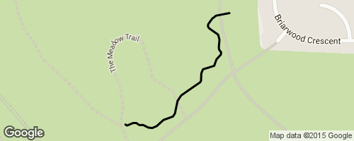 Bender Mountain Biking Trail - Delta, British Columbia