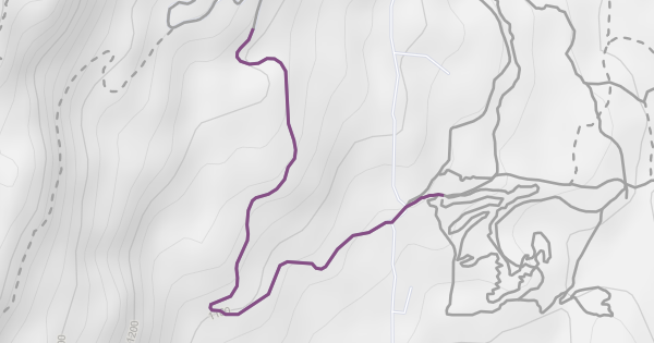 Mount Emily Road Lower Section Mountain Biking Trail - La Grande