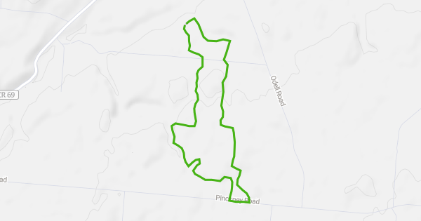 Pinckney Bike Trail Mountain Biking Trail - NY