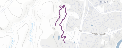 Barden Ridge Access Trail Mountain Biking Trail