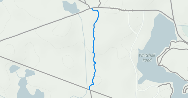 Midstate Trail - Mass Central Rail Trail to Whitehall Road Hiking Trail ...