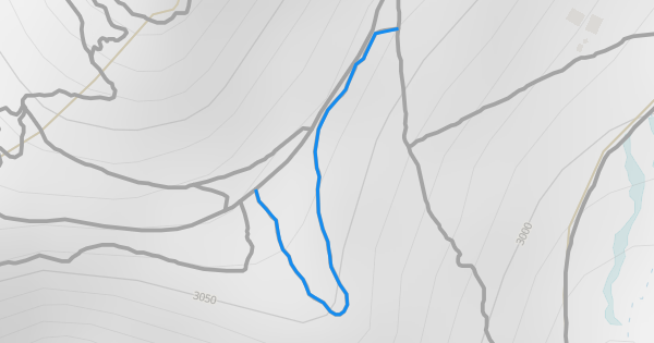 Trail013 Mountain Biking Trail - Afriski Mountain Resort