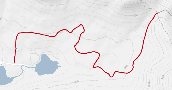 Colgate Lake Trail Multi Trail - Round Top, New York