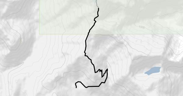 Shannon Ridge Trail Hiking Trail - Glacier, Washington