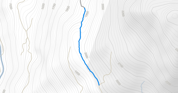 Abfahrt Alp Flix Multi Trail - Val Surses, Surses